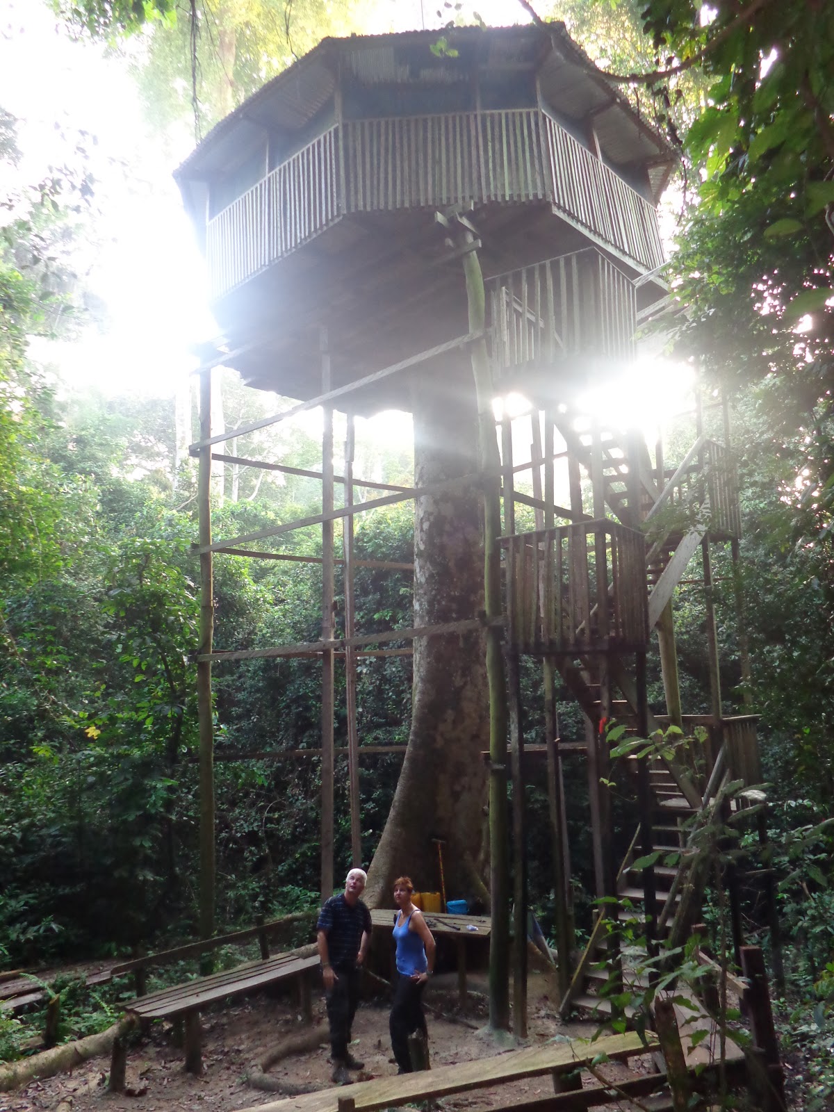 Bartho in Ghana: Tree house experience