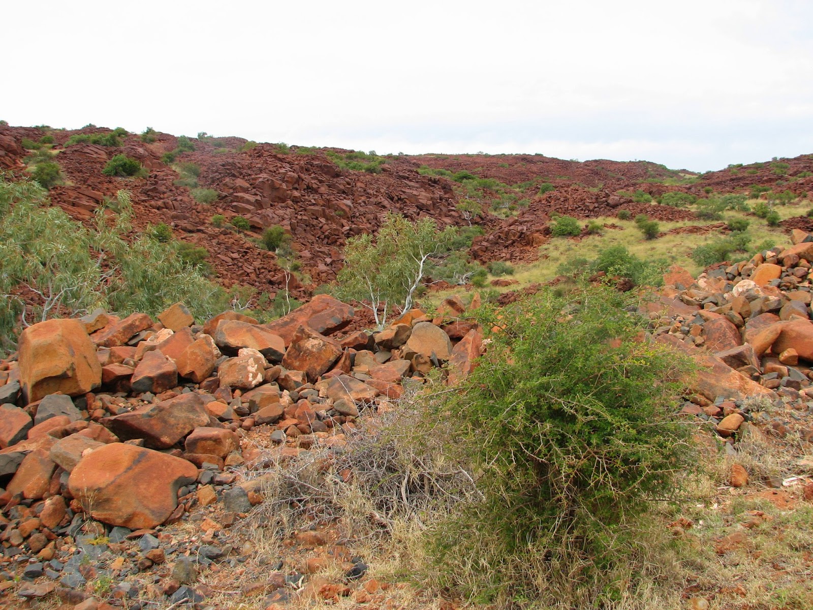 DiNo's Travels Around Australia - 2014/2015/16/17: Day 102 - Dampier ...