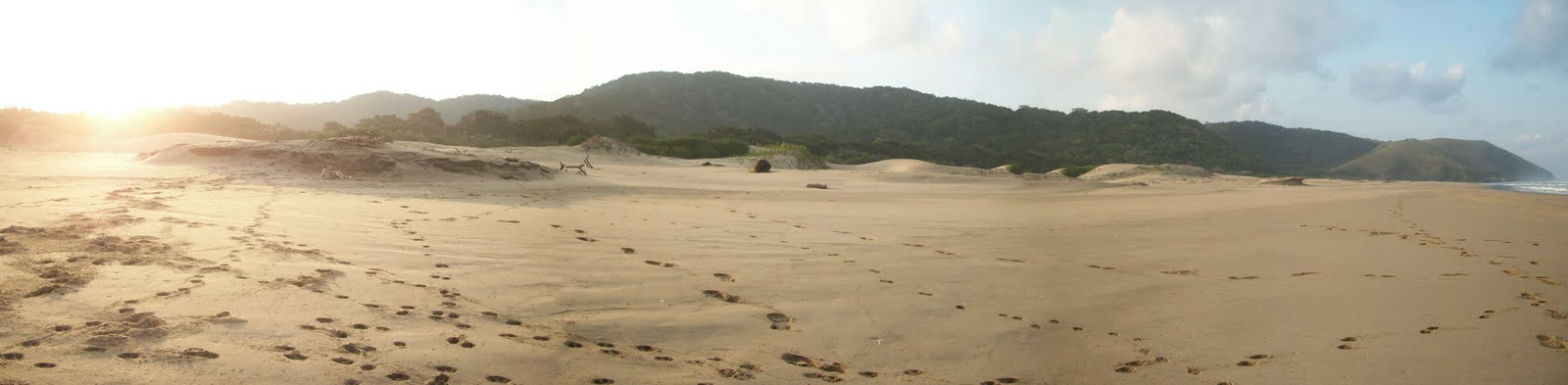 South Africa: Ntafufu.