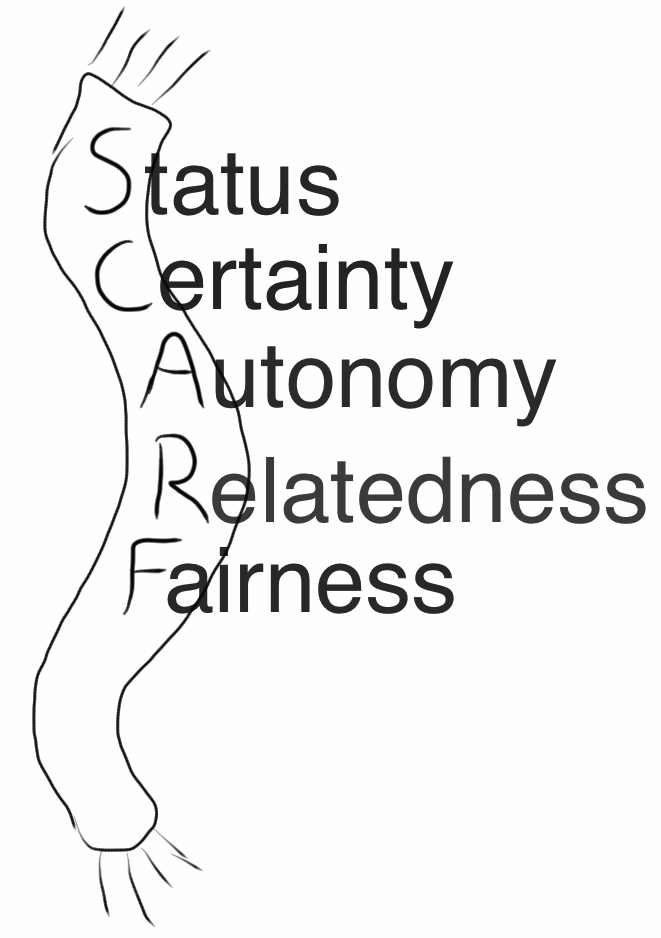 The Tapir's Tale: Notes on "Your Brain at Work"