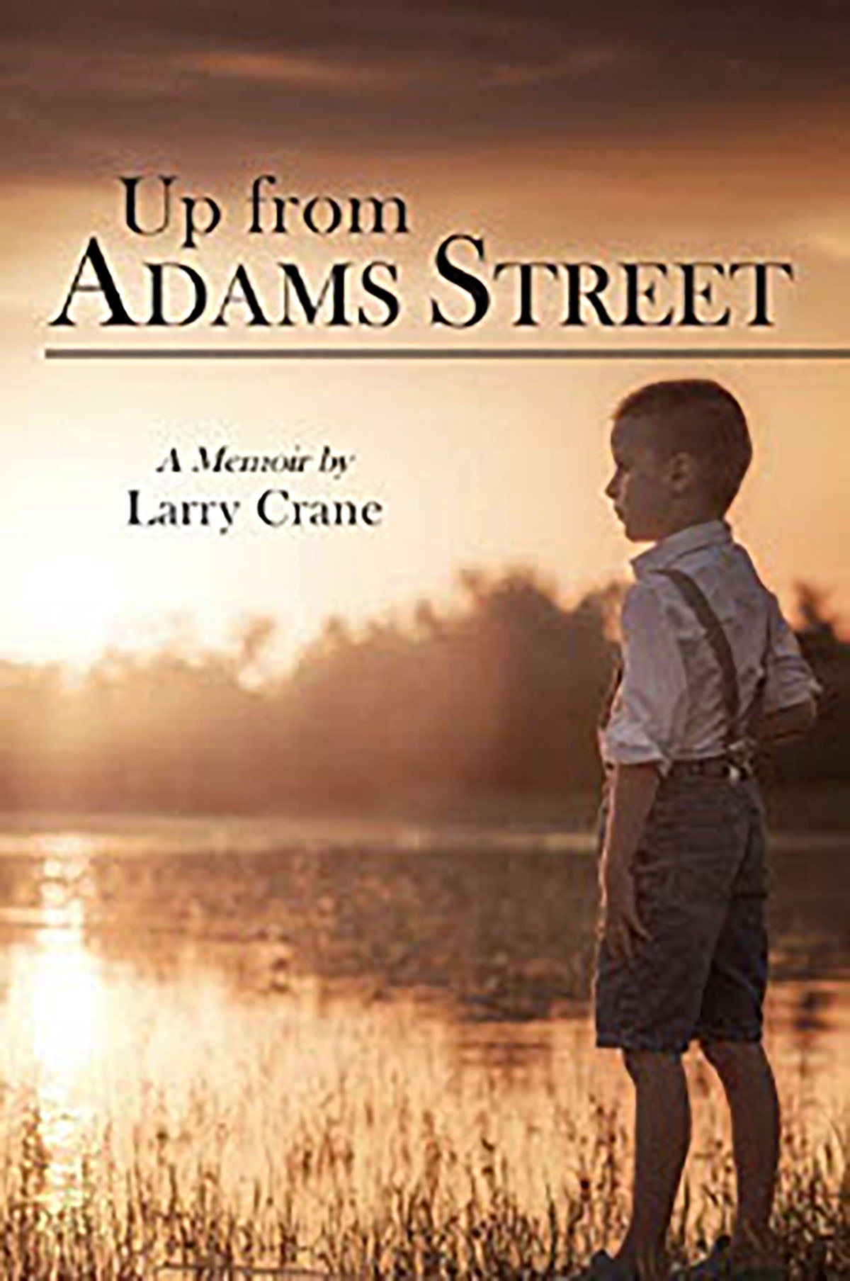 Adventurous Jessy: Up From Adams Street book by Larry Crane