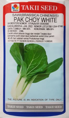 Toko Pertanian Terdekat | Lmga Agro: Jual Benih Sawi Pak Choy White ...