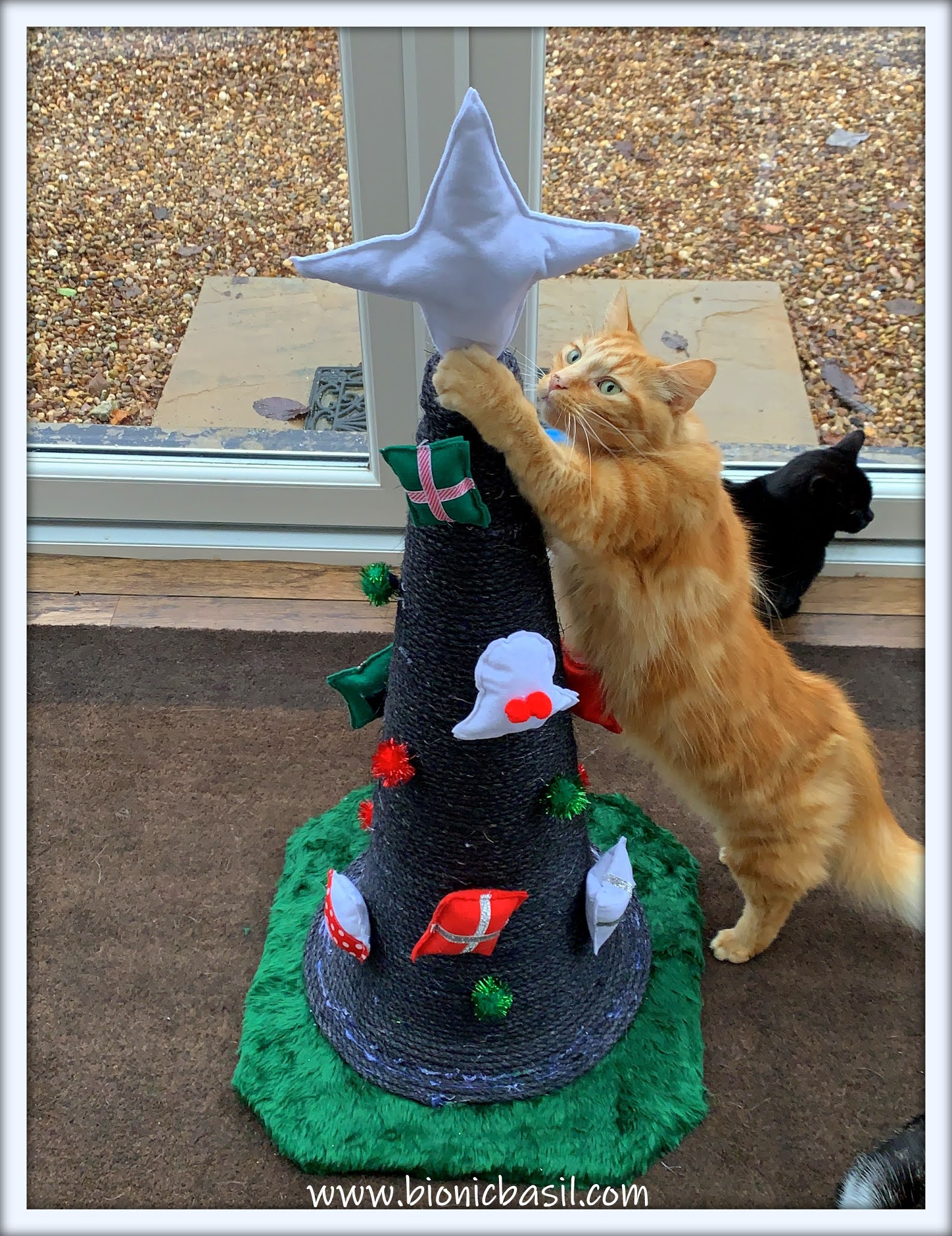 Bionic Basil® home of Basil and The B Team: Crafting With Cats ~ Part ...