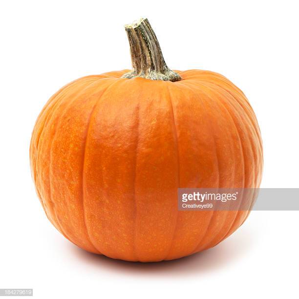 PASELE, PASELE | FERIA REGIONAL DE LA CALABAZA