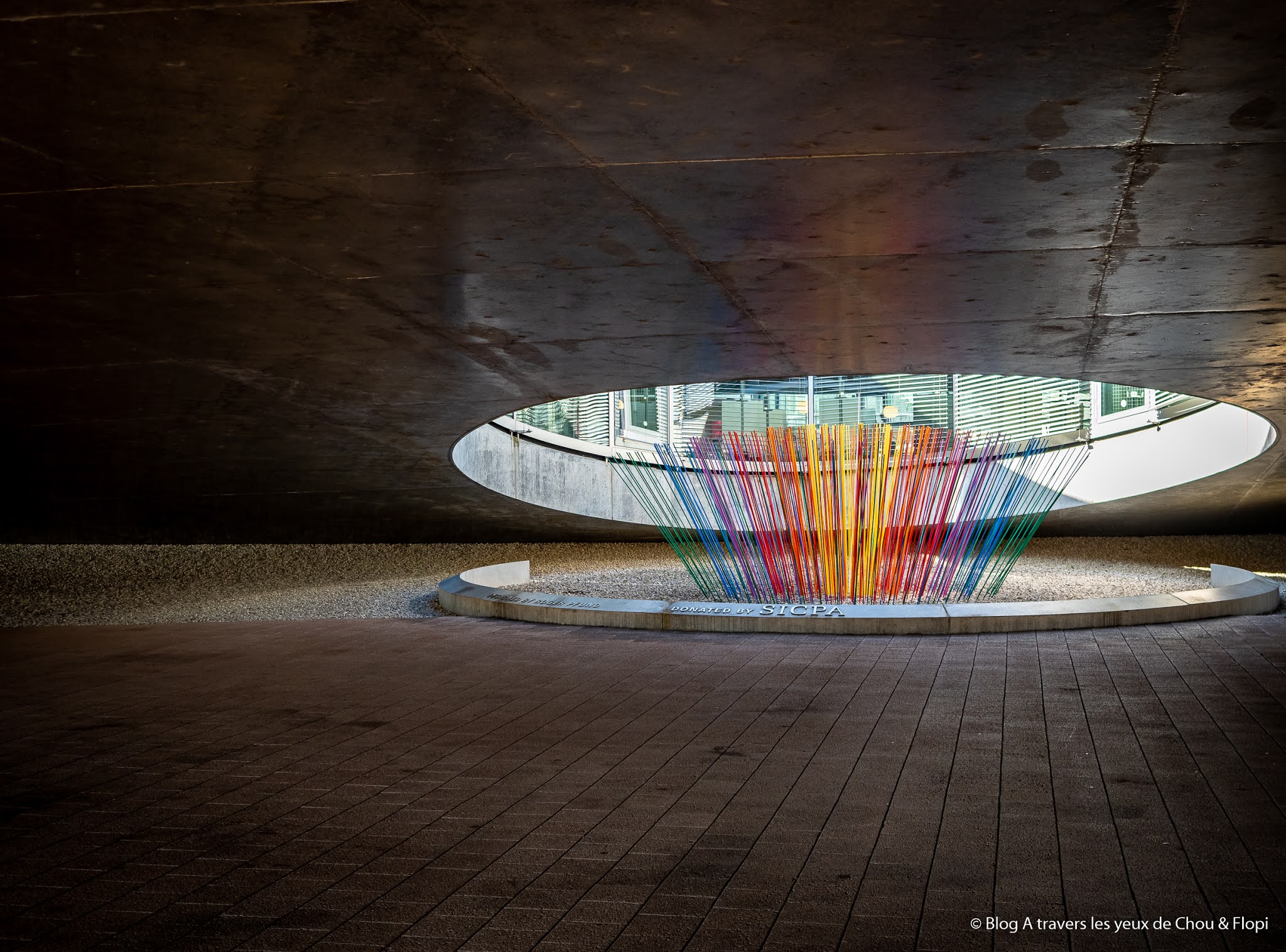 A travers les yeux de Chou & Flopi: Qui sommes-nous