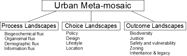 BES Urban Lexicon: Metacity