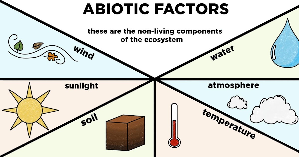Abiotic Factors ~ Medical Resume