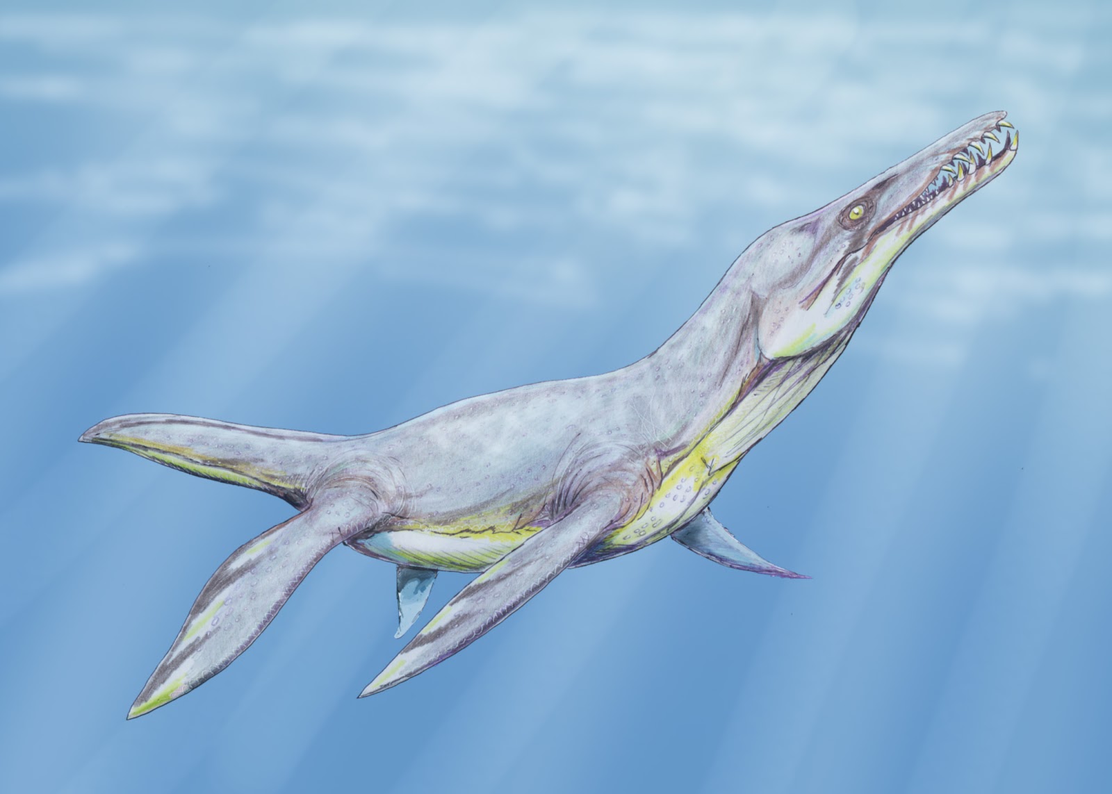 Reptossaurus: PLESIOPLEURODON