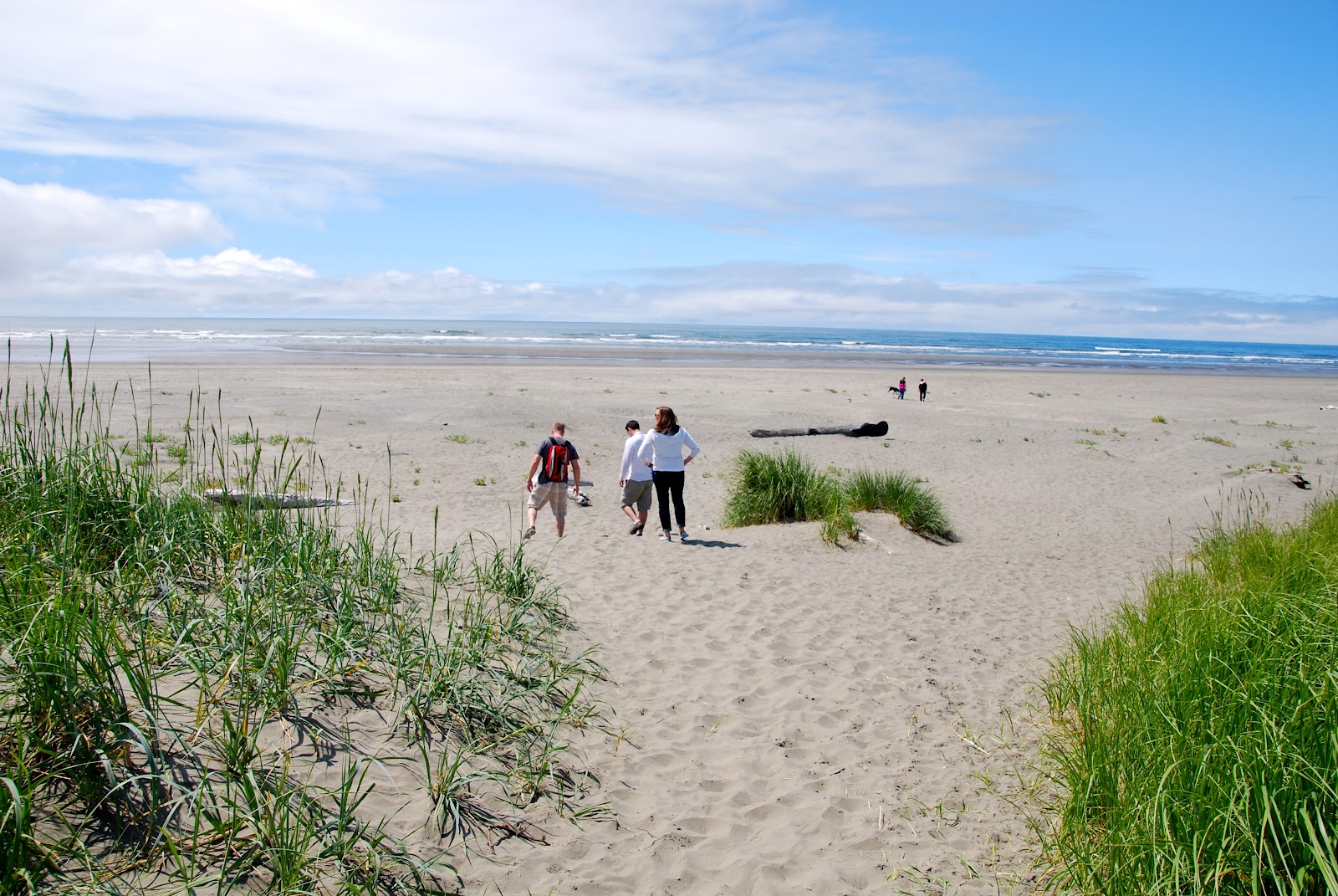 Wanderlust Traveler: Pacific Beach, Washington (Lodging, Dining, and ...