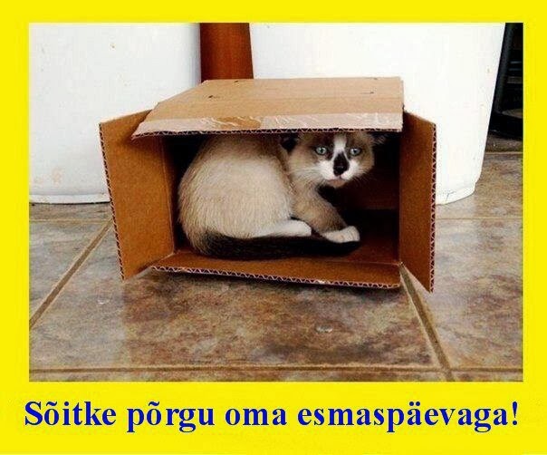 Jonnipunn: Esmaspäev!