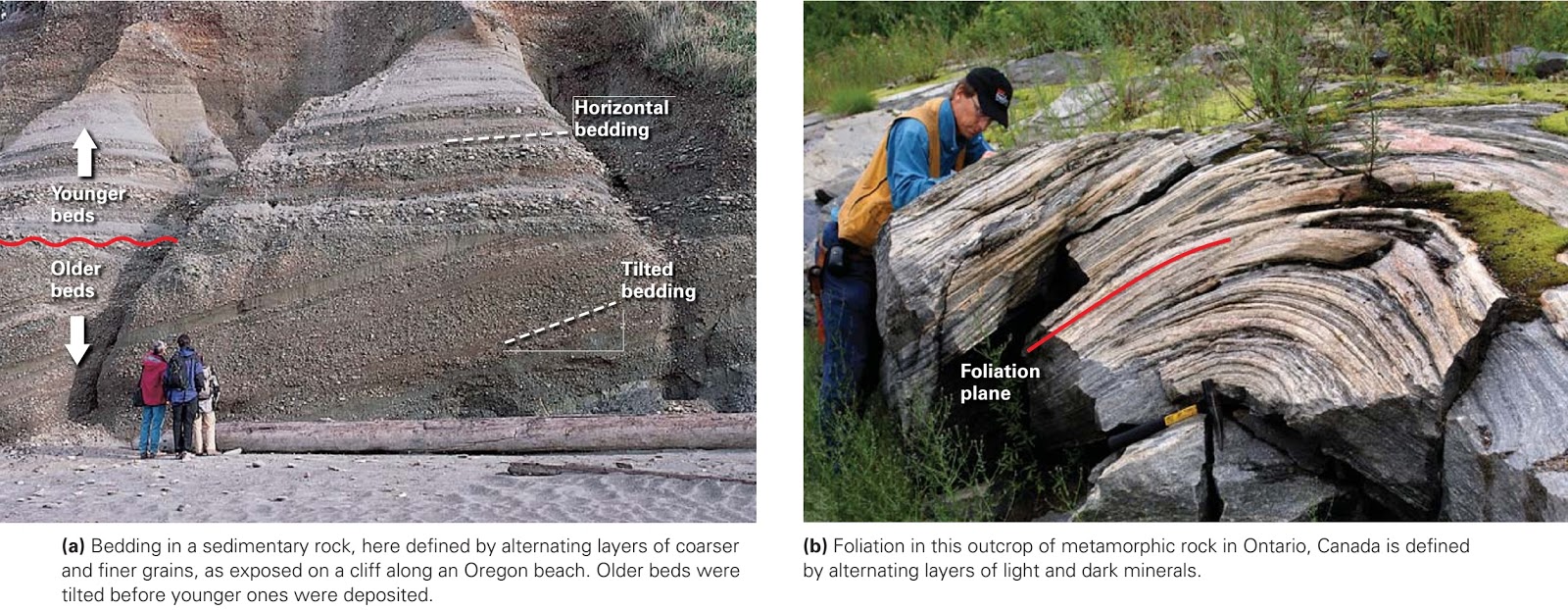 Learning Geology: The Basis of Rock Classiﬁcation