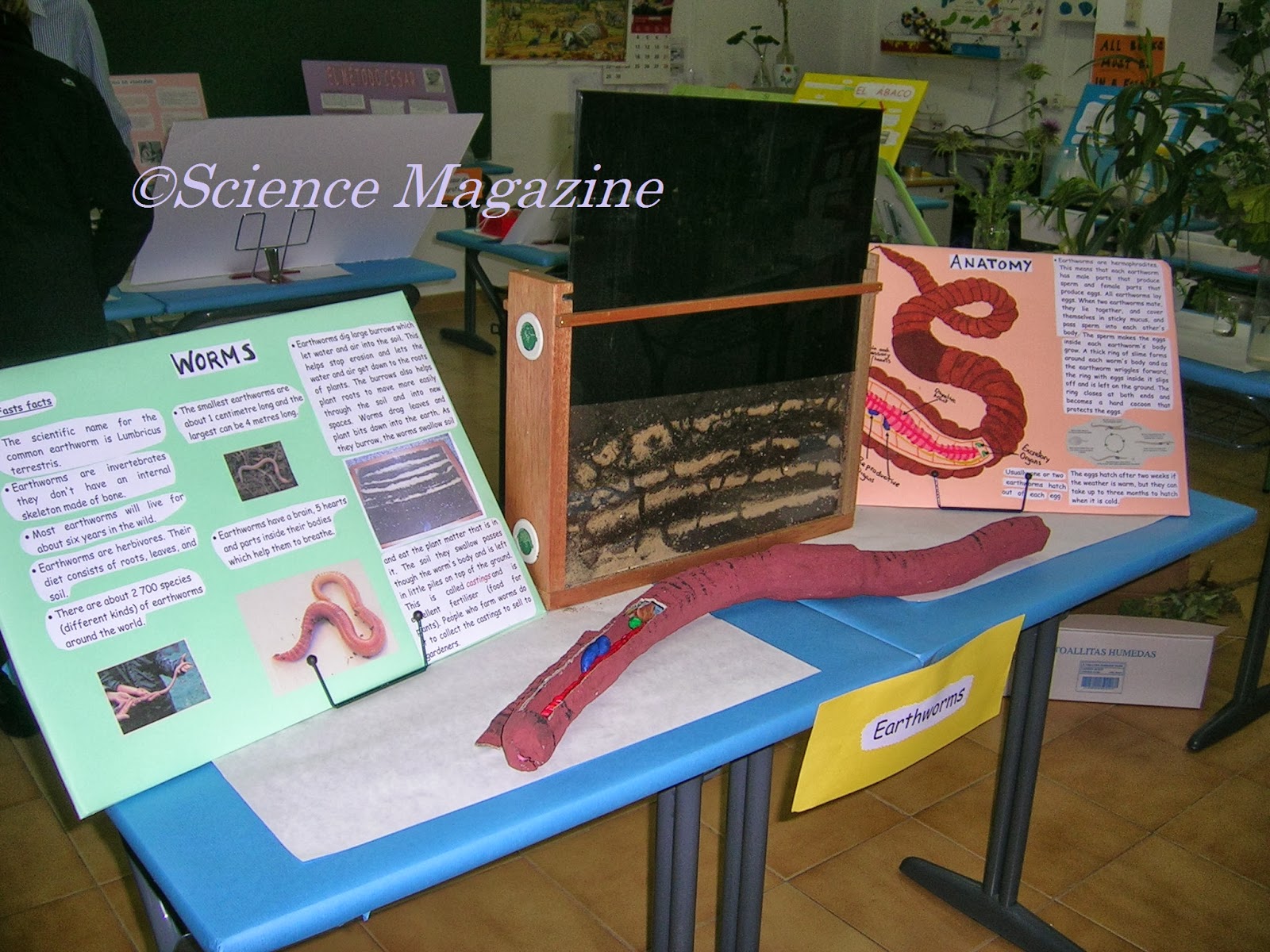 Science Magazine: SCIENCE FAIR PROJECT - WORMS - By Victor Iglesias