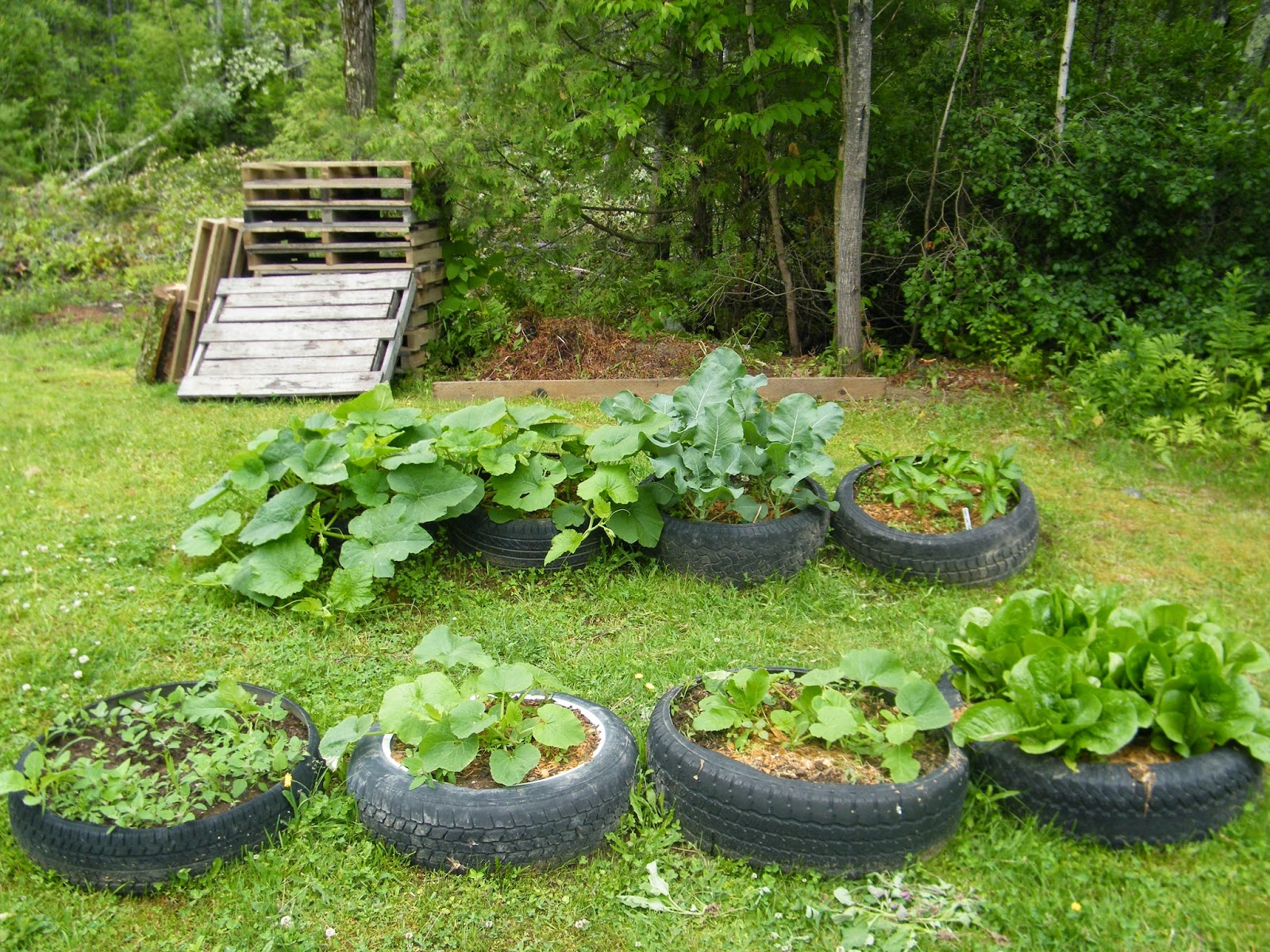 Whispering Pines MicroFarm: MicroFarming - Overview