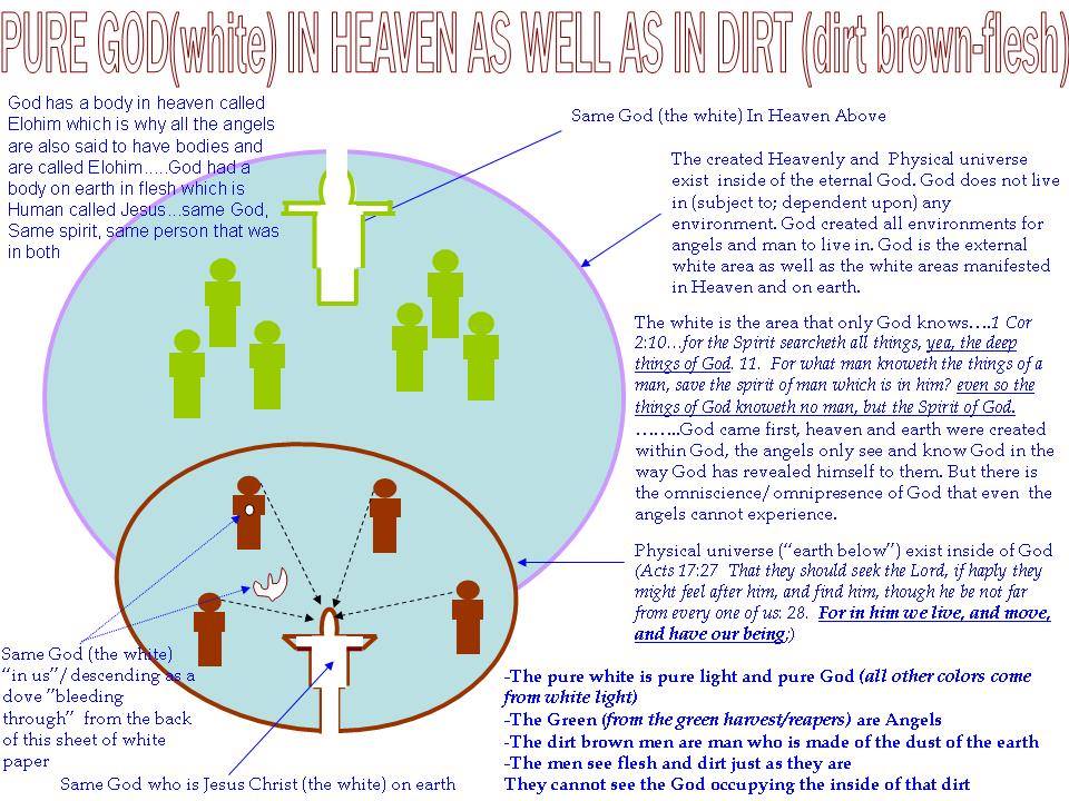 THE TRINITY HERESY: THE HERESY