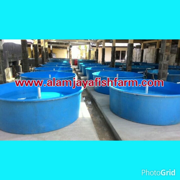 BAK FIBER KOLAM BULAT - phytoncatfishfarm