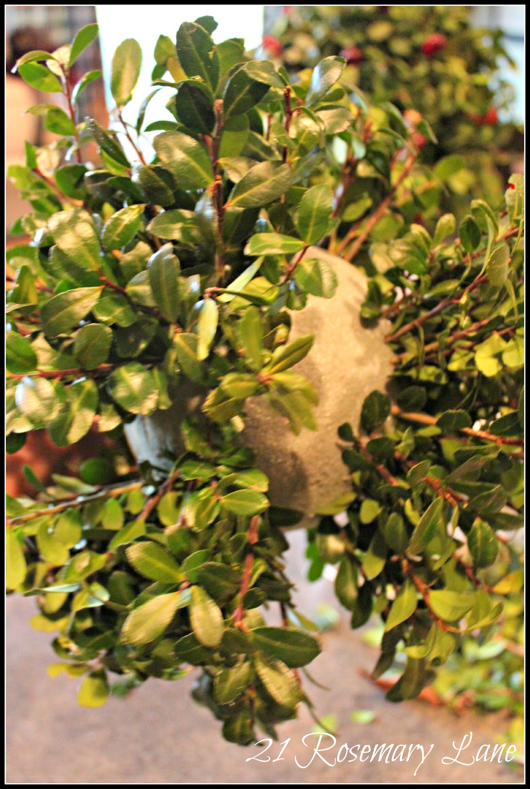 21 Rosemary Lane: Another Festive Topiary