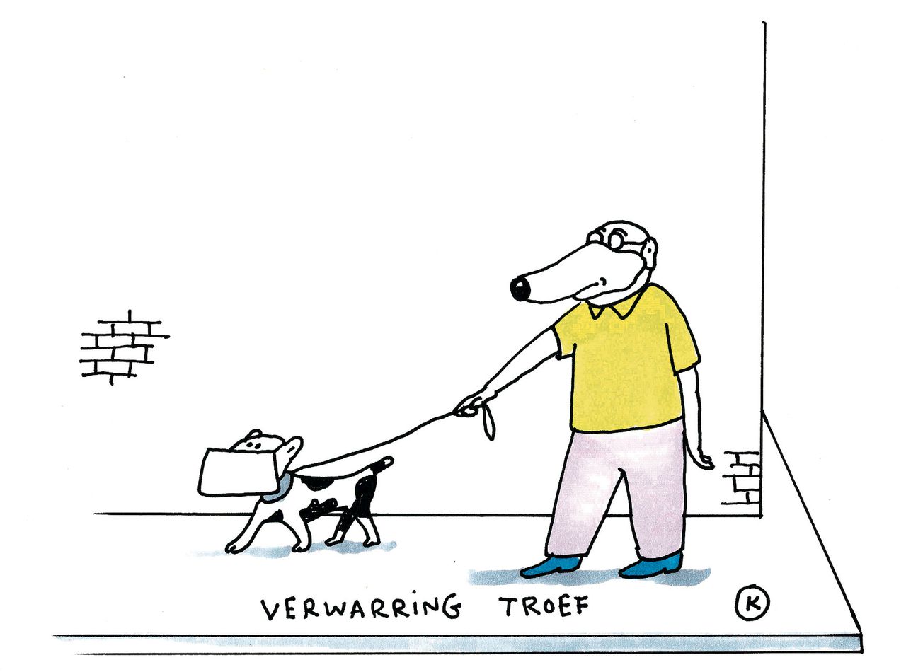 AartDekker: CORONA MAATREGELS VERSOEPELD: 'Verwarring Troef' / CARTOON ...