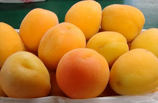secrets of beauty: cure for cancer: Vitamin B17 apricots
