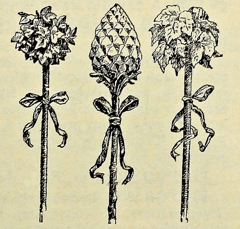 39) Les pommes de pin