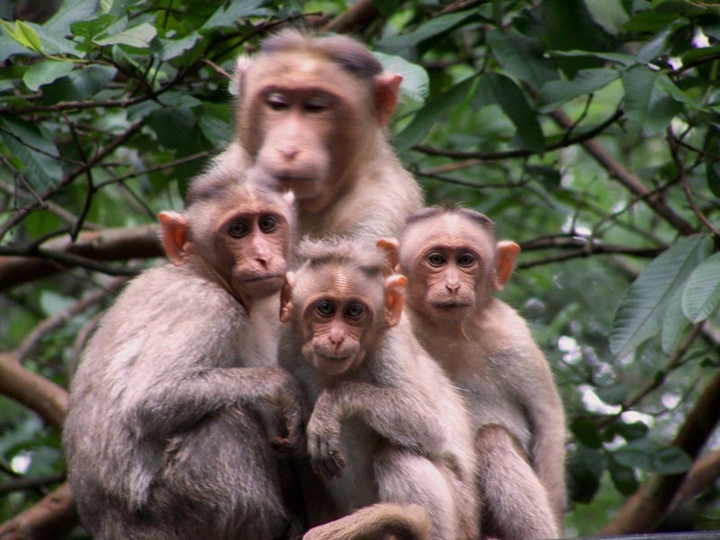 The Happy Homunculus: This Is For You