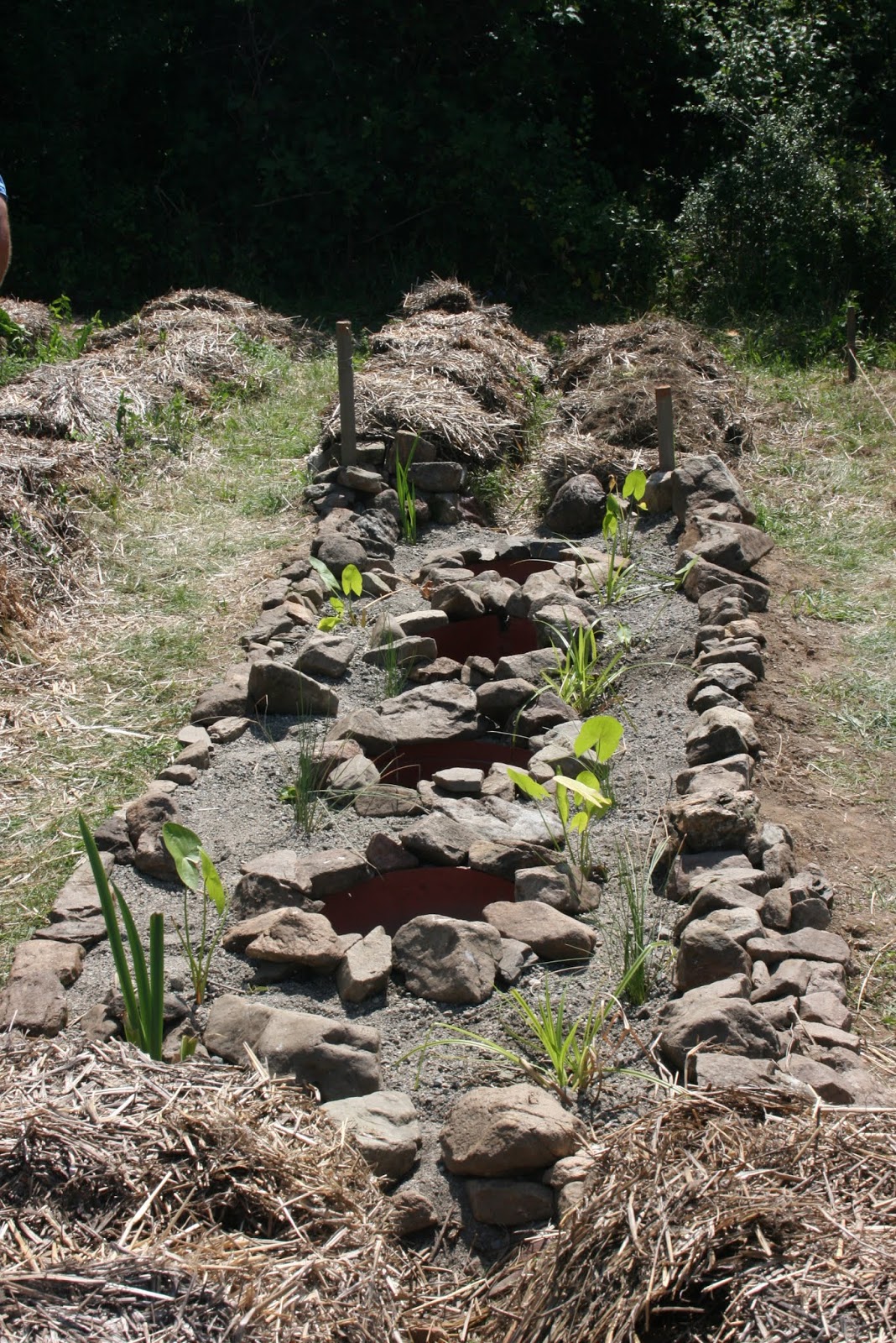 Balkan Ecology Project Balkan Ecology Project