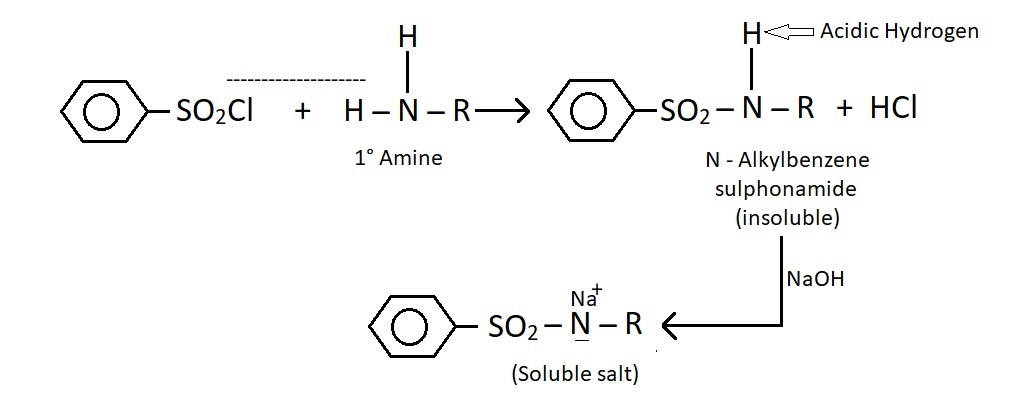 Hinsberg method (Separation of amines) - Organic Chemistry