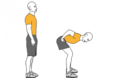 Cultura Física : FLEXIONES DEL TRONCO