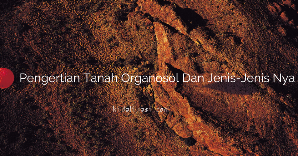 Pengertian Tanah Organosol Dan Jenis-Jenis Nya - Kidalisasi