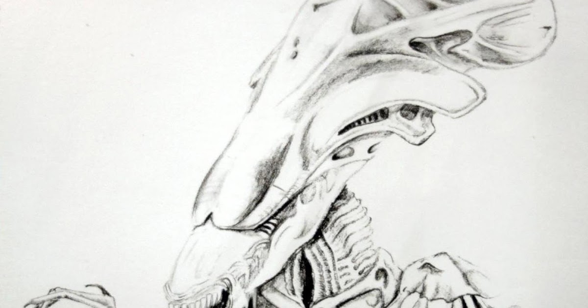 Alien Explorations: Aliens: Alien Queen Head by CT Thorne