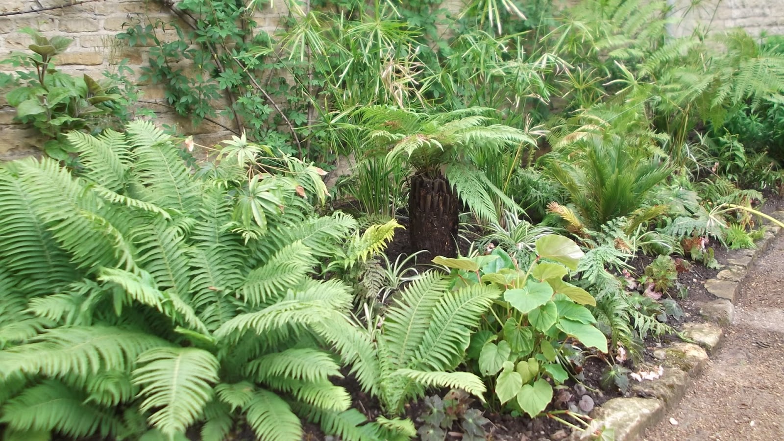 Worcester College Gardeners 2009-2018: Planting In Dappled Shade