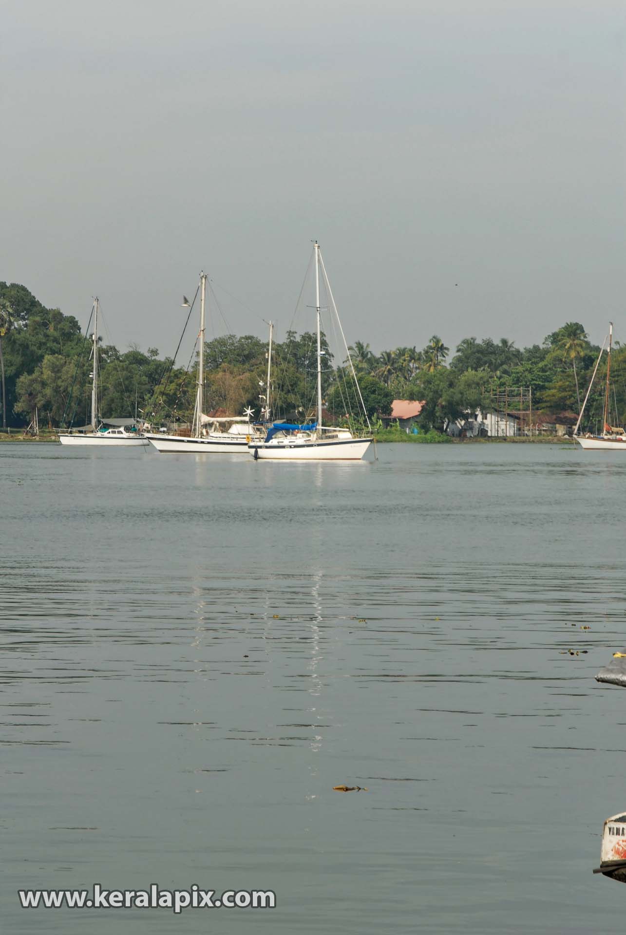 Keralapix.com: Your Ultimate Destination for Stunning Kerala Images and ...