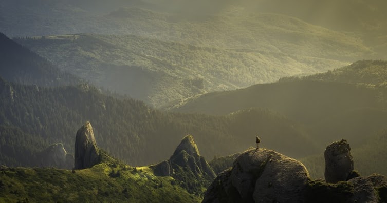 47 Great Nature Blog Names 47-great-nature-blog-names