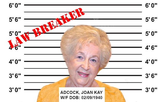 Bad City of Little Rock: CIty Director Joan Adcock accepted illegal ...