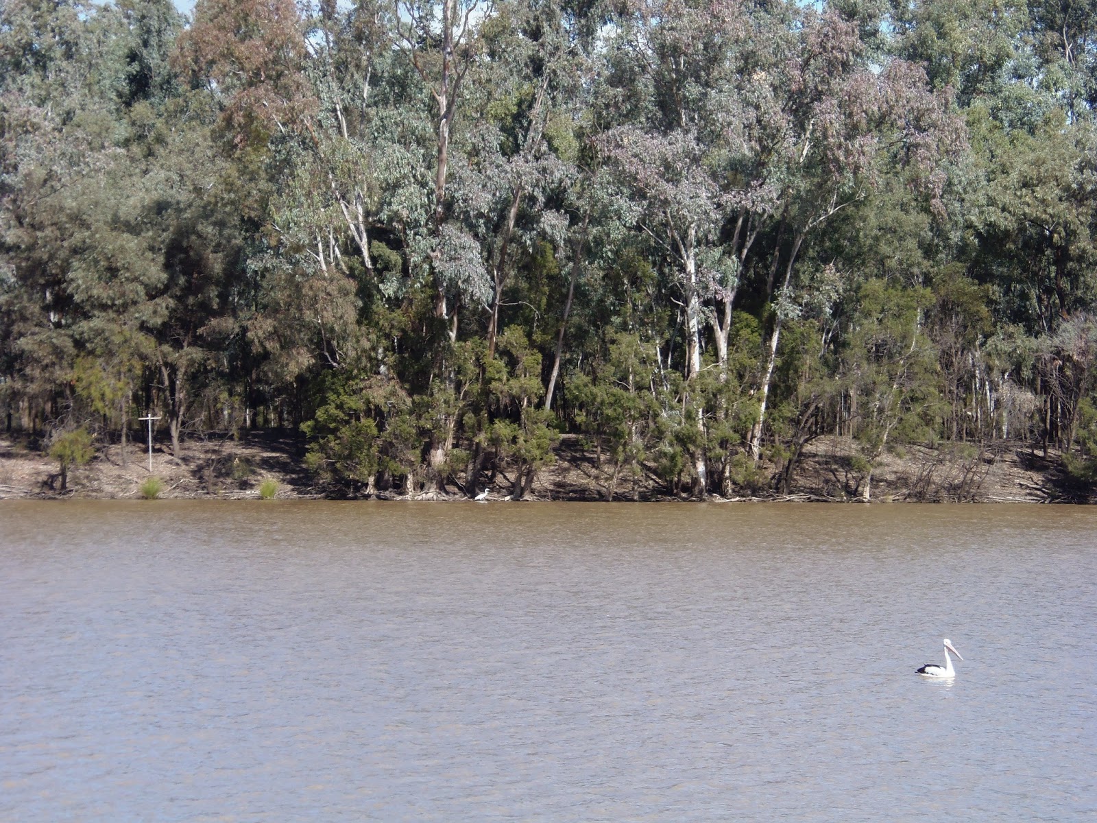 Solo Steve On The Road: GLEBE WEIR at TAROOM Qld