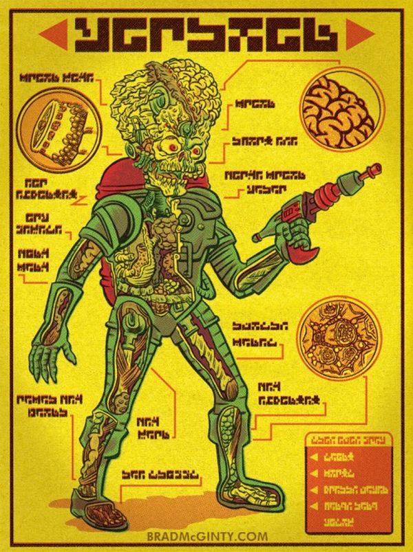 2-Dimensional Domain: Monster Anatomy