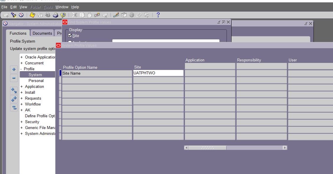 Oracle EBS (ERP): Oracle EBS Windows Name Changes