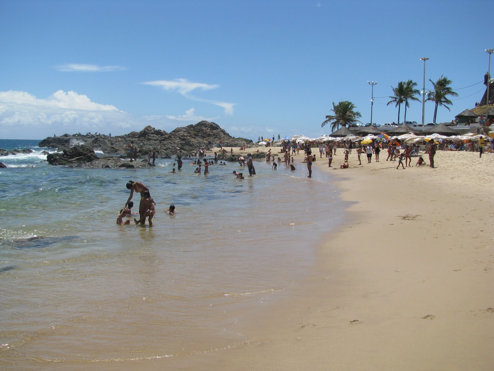 Run Wild Run Free : Brazil's Beach Life~ Rio & Bahia ..toned bodies ...