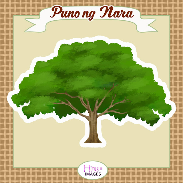 Hiraya: Disyembre 2017