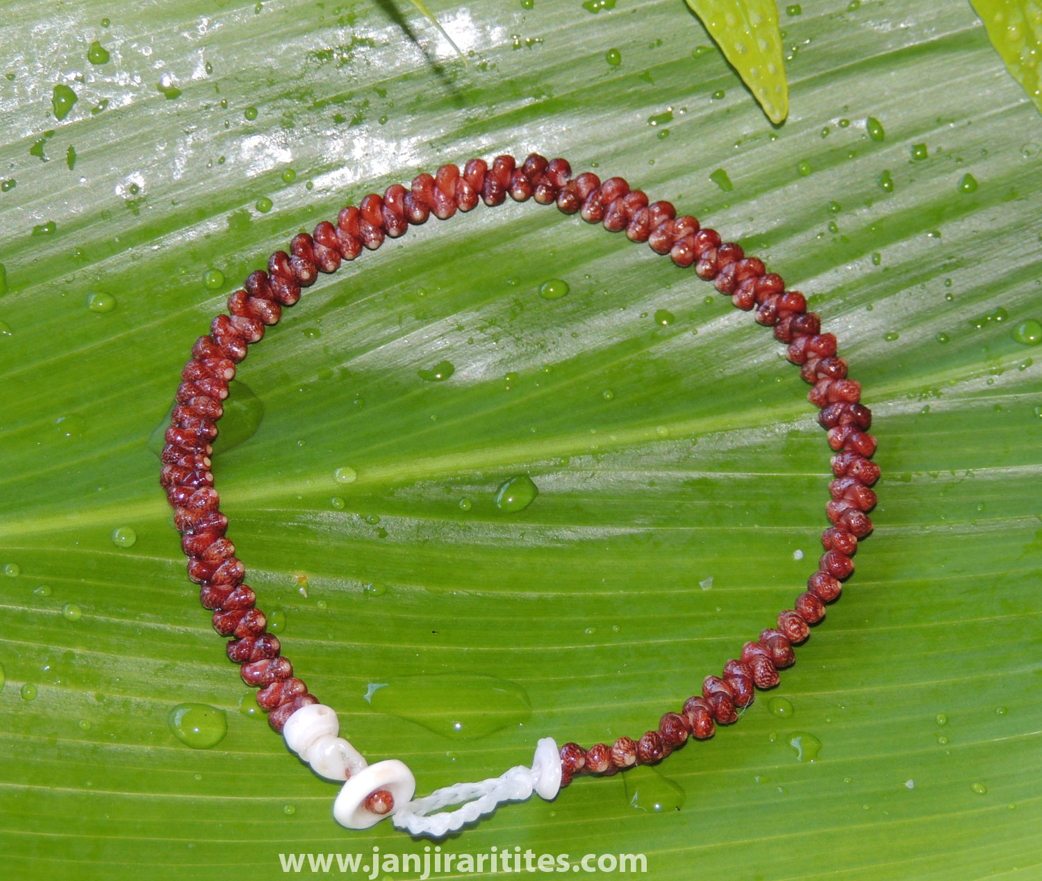 Kahelelani & Sunrise shell jewelry by.... Janjira: Burgundy Kahelelani ...