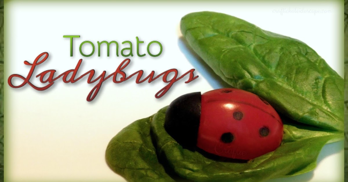 Craftie Kaleidoscope : Tomato Ladybugs (the easy way) ~ Garden Party Theme