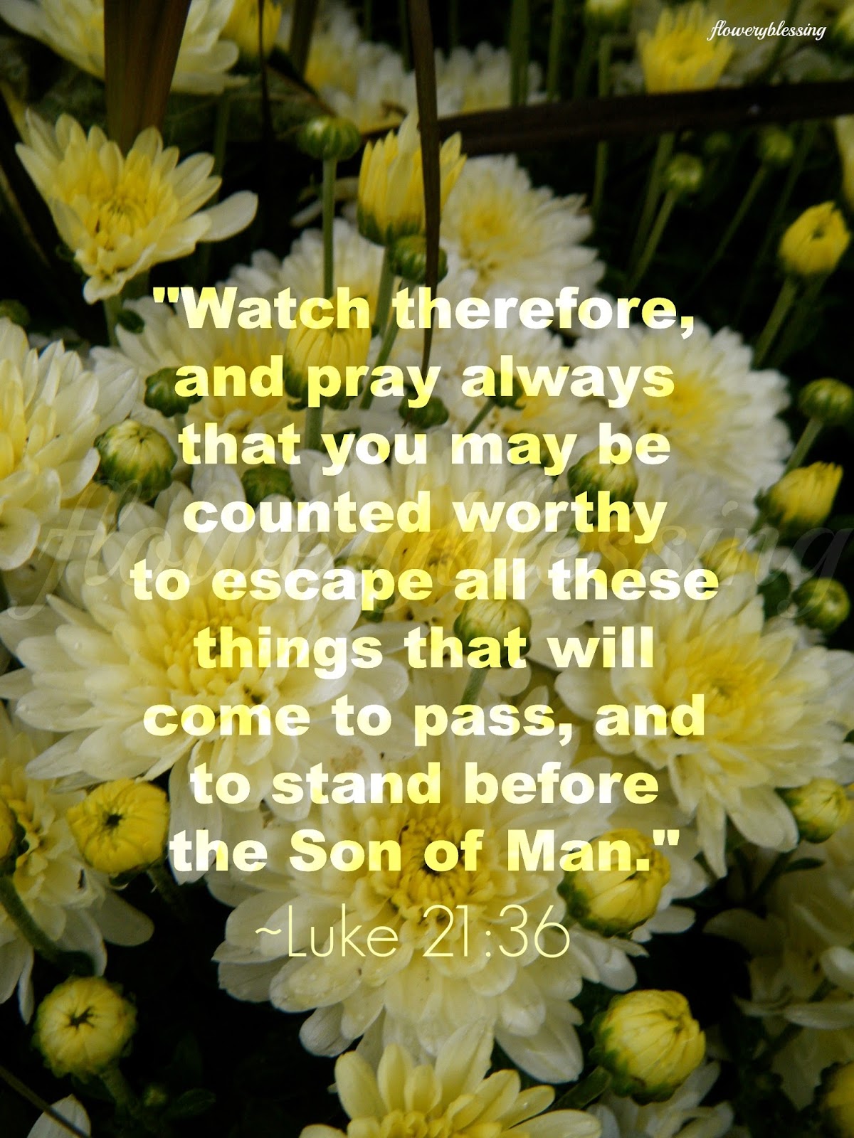 Flowery Blessing: "Watch therefore, and pray always that you may be ...