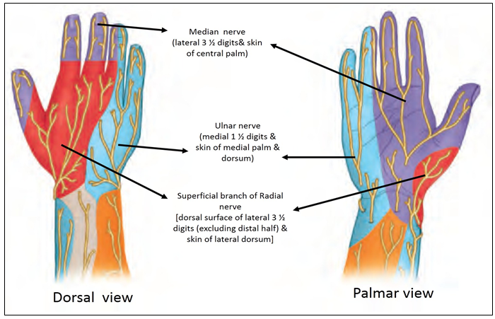 PG NEXT Question of the Day 27-10-2016