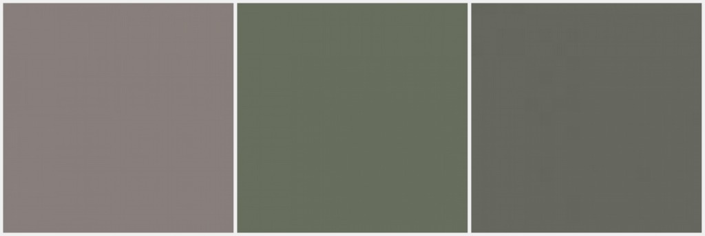 The Remodeled Life: Choosing a House Color