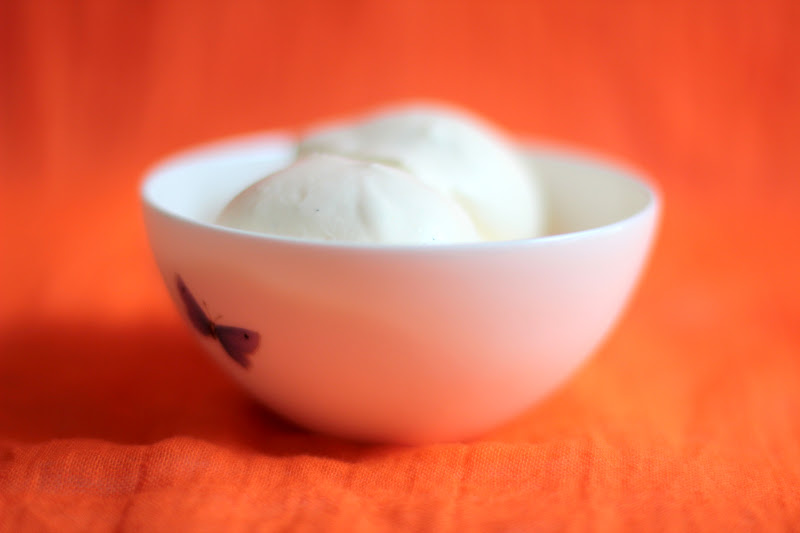 bake your slovak roots / slovenské korene: Honey Vanilla Ice Cream ...