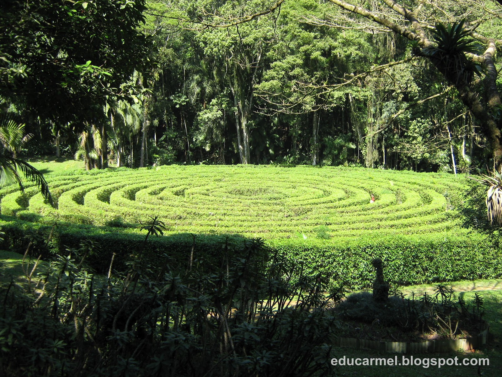 .: As Belezas do Parque Malwee, Jaraguá do Sul - Santa Catarina - Brasil