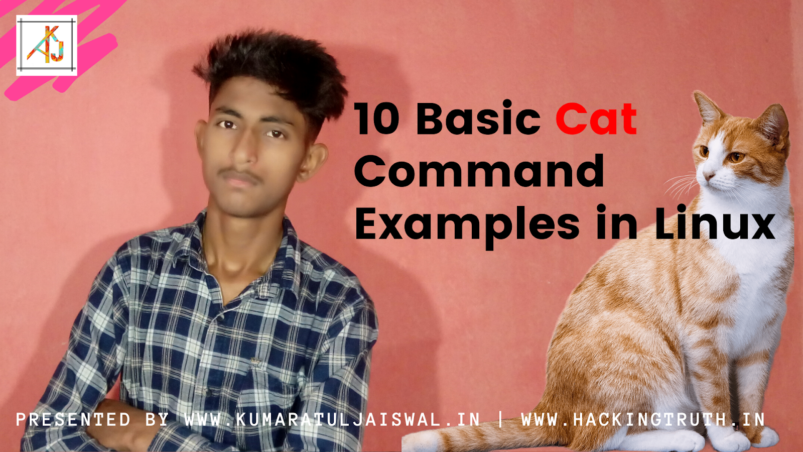 10 Basic Cat Command Examples In Linux