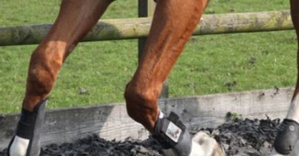 Three Phases of Horse Footfall Patterns That Determine the Equestrian Surface