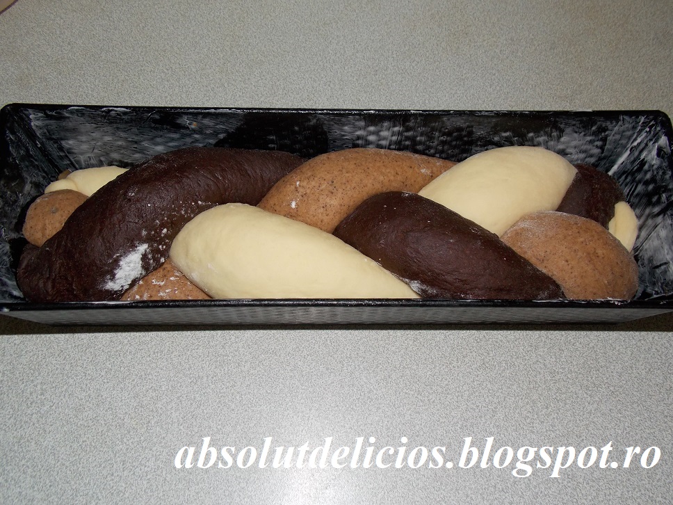 Absolut Delicios: COZONAC IN 3 CULORI