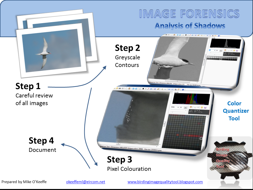 Birding Image Quality Tool: Spotlight - On Forensic Image Analysis