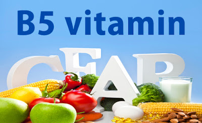 An Overview of the B5 Vitamin - Read and Take advantage